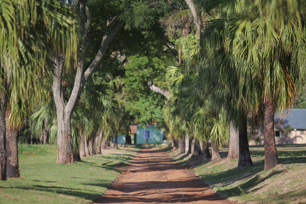 A importância do perdão | Especial Publicitário - Parque Memorial Japi | G1