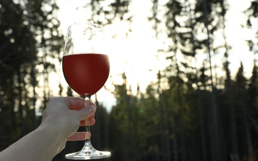 Etiqueta Da Sommelier Qual A Quantidade Certa Para Servir Vinho Na