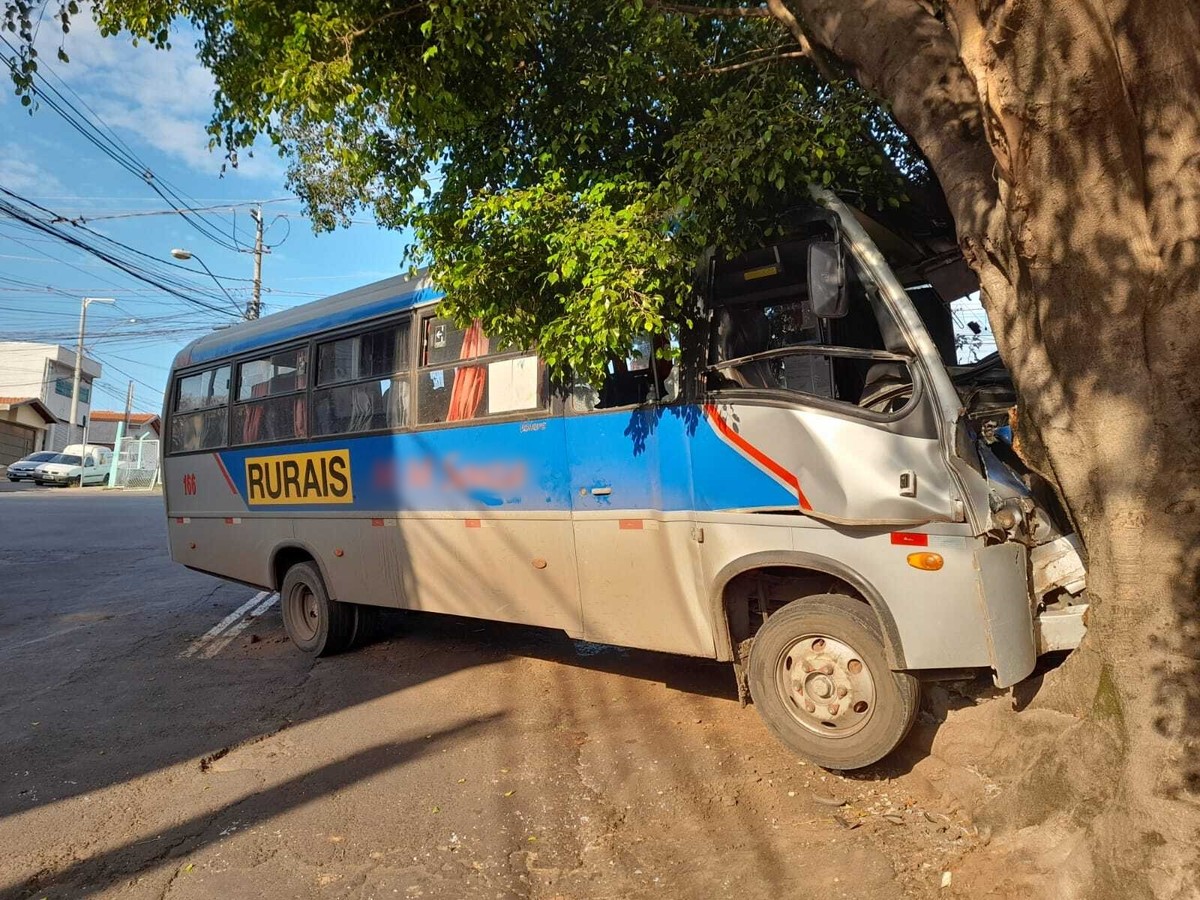 Ônibus desgovernado atravessa avenida e bate em árvore em Piracicaba | Piracicaba e Região | G1