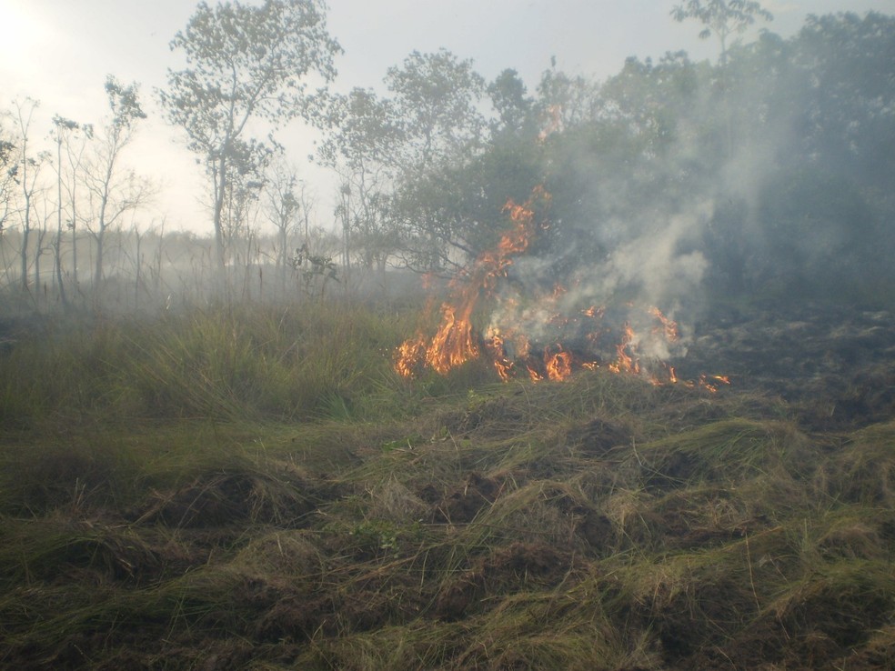 Queda de raio causa queimada que destrói 25 hectares de pasto no ...