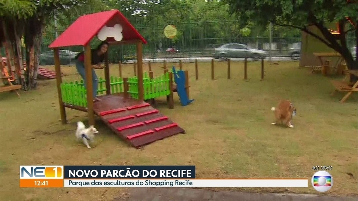 Shopping no Recife inaugura parque para cachorros com entrada gratuita ...