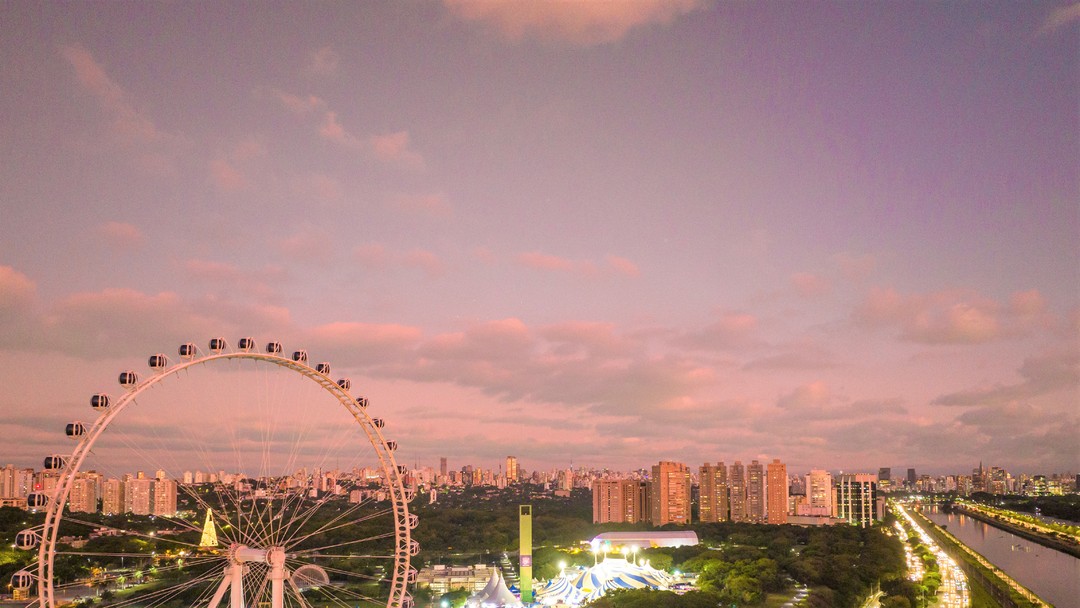 Filhotes gigantes: cachorro de 80 quilos faz sucesso no Tiktok ...