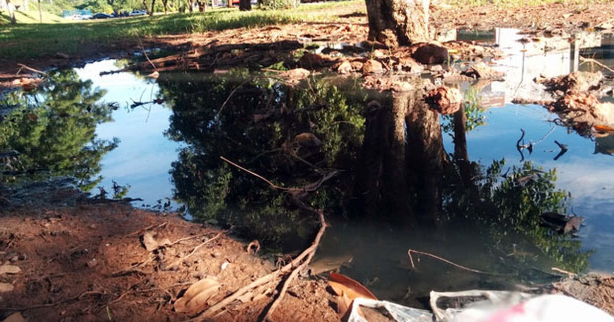 G1 - Água parada incomoda prudentinos que caminham no Parque do Povo ...