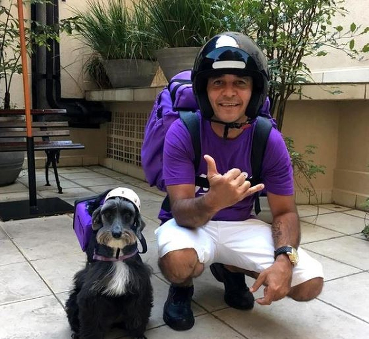 Conheça Ruby Fofa, cadela que virou entregadora após ser resgatada da ...