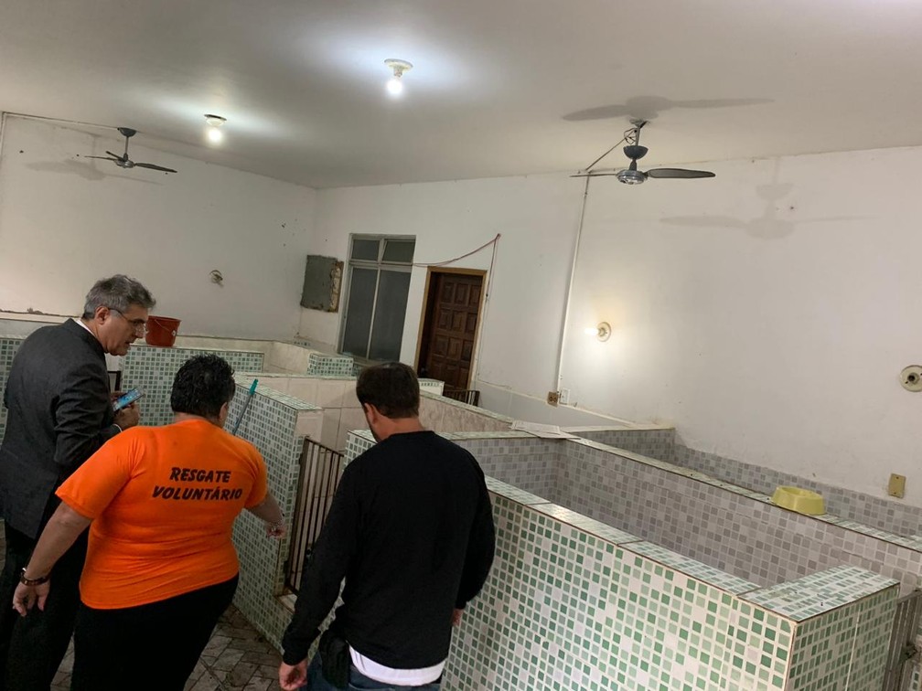 Polícia fecha canil ilegal na Zona Norte do Rio | Rio de Janeiro | G1