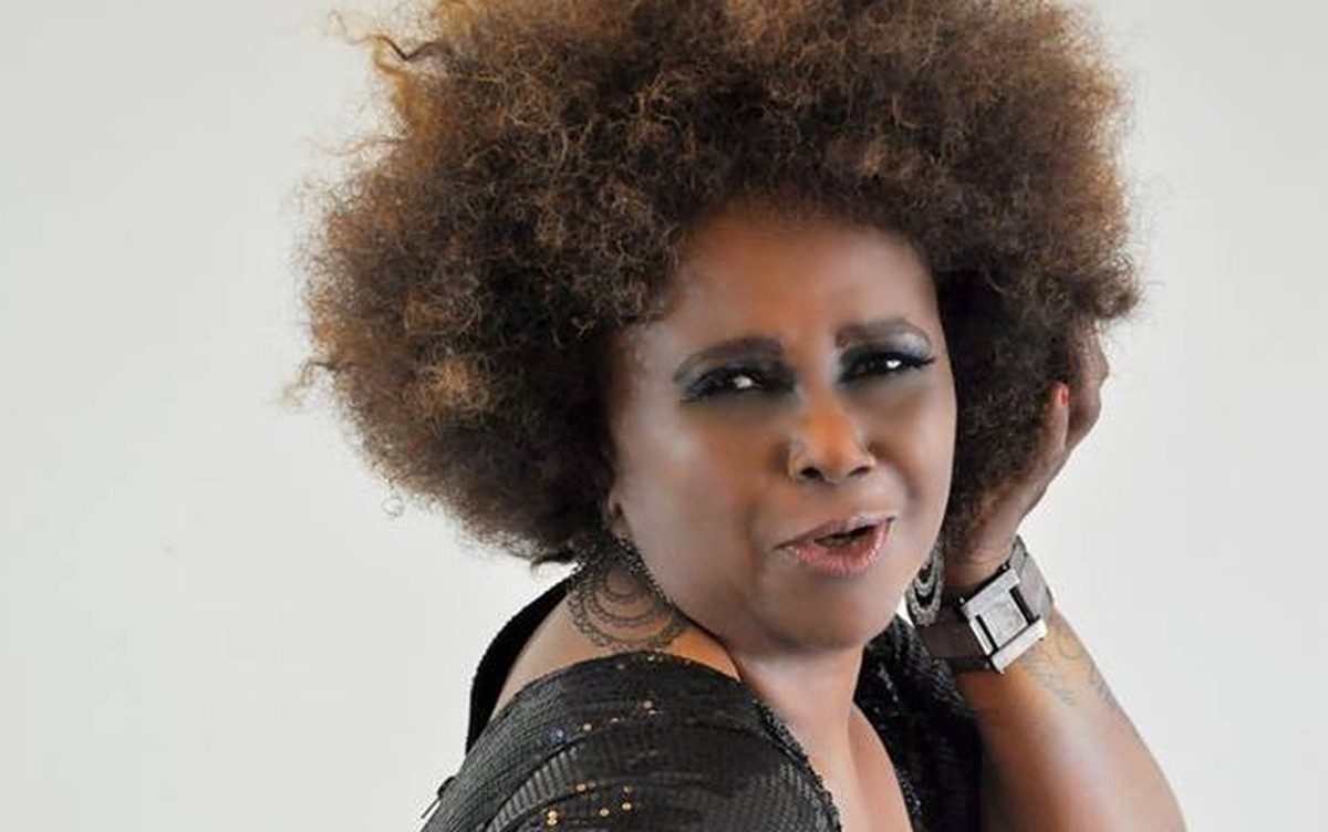 Sandra de Sá cai no samba-enredo aos 40 anos de carreira | Blog do ...