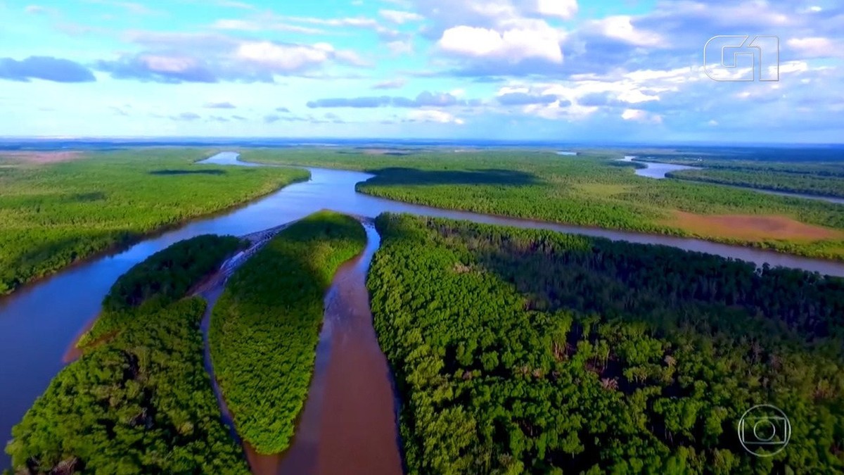 Delta do Parnaíba: navegue entre igarapés e com pássaros vermelhos até ...