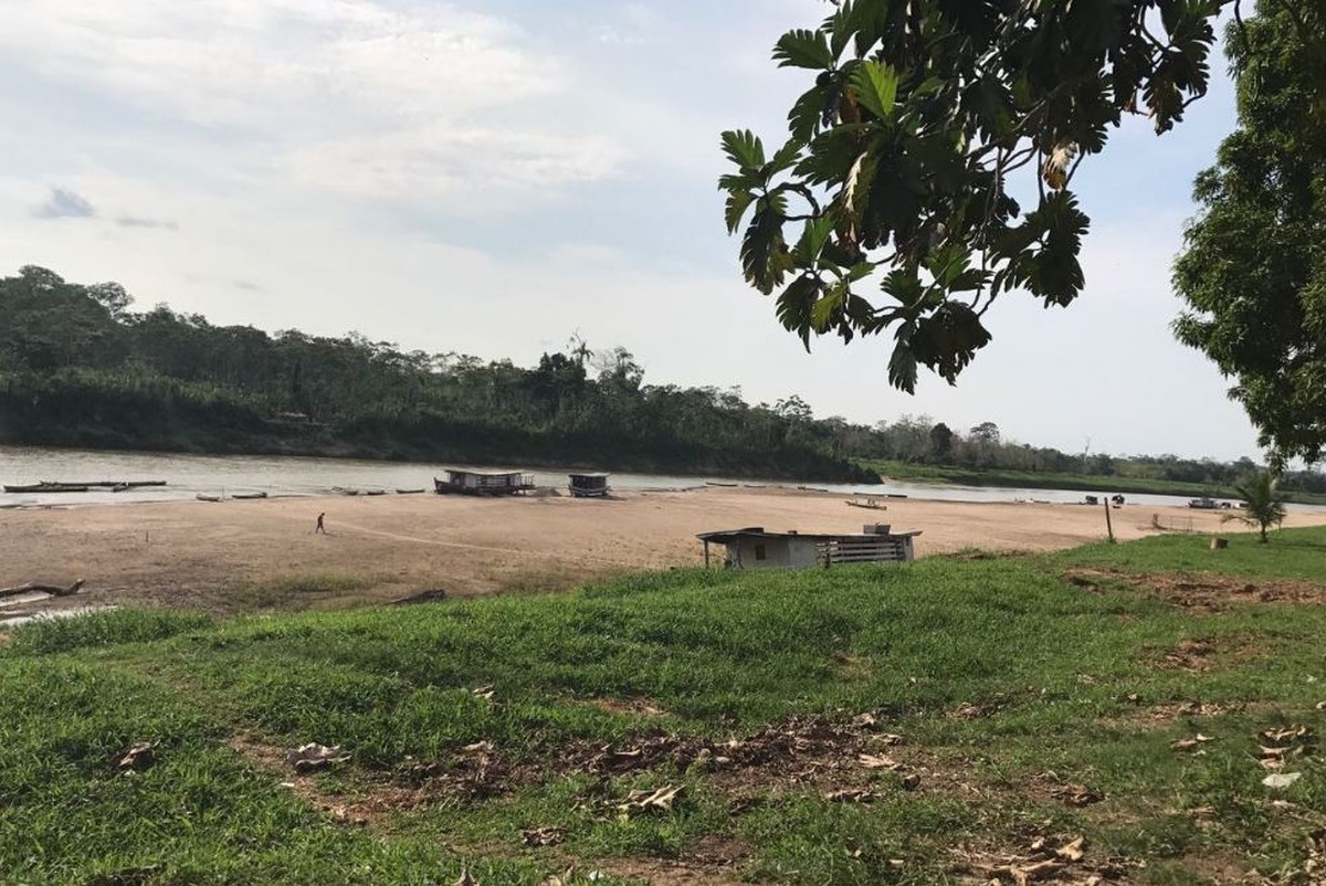 Após ser resgatada de aldeia, bebê indígena de 6 meses morre vítima de ...