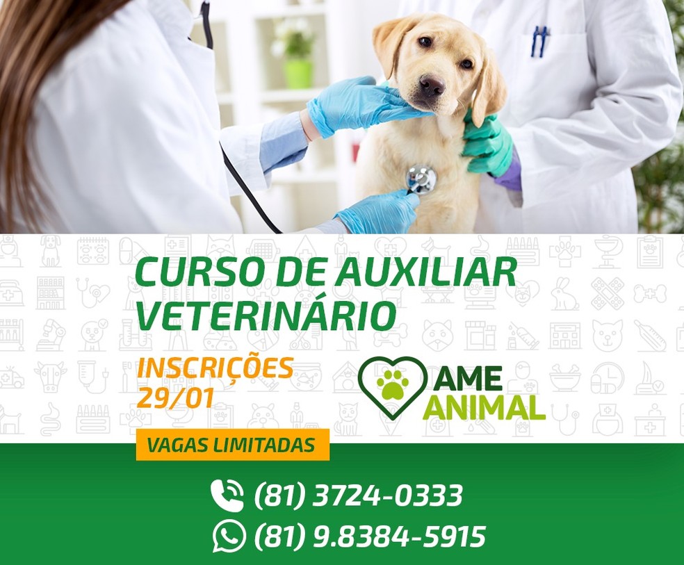 AME Animal abre inscrições para curso gratuito de auxiliar veterinário ...