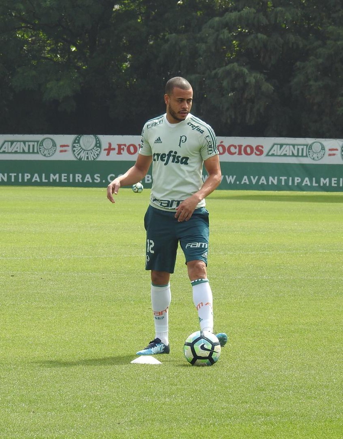 Valentim esboça o Palmeiras em último treino aberto antes de enfrentar ...
