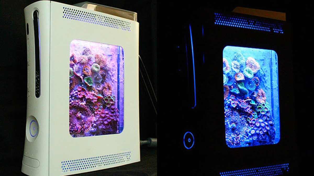 Loja de aquários transforma Xbox 360 em lar para peixes | Notícias ...