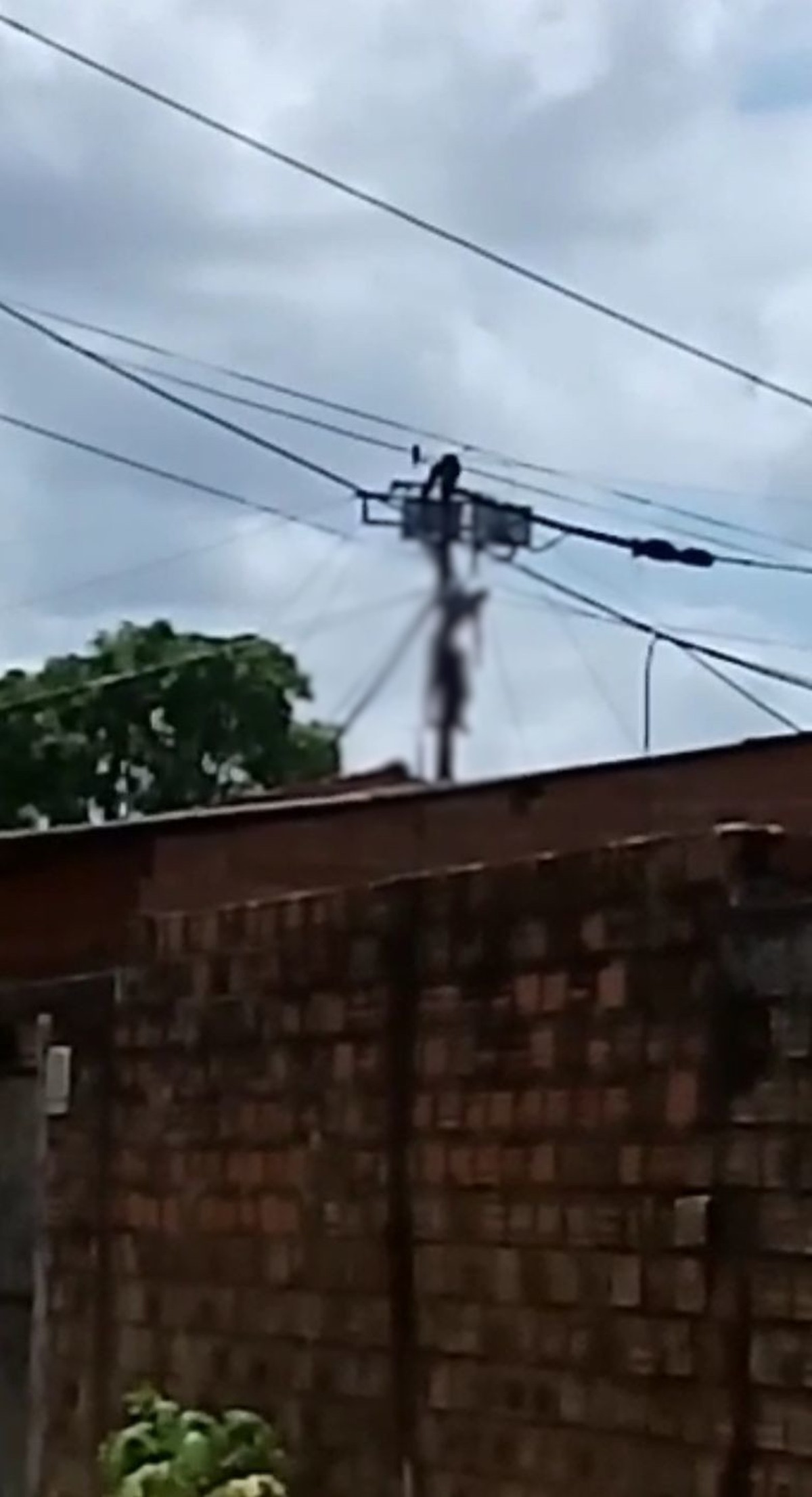 Homem fica pendurado em poste após ser eletrocutado em Ananindeua, RMB ...