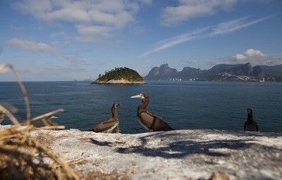Ilhas Cagarras, no Rio, entra na seleta lista de preservação ambiental ...