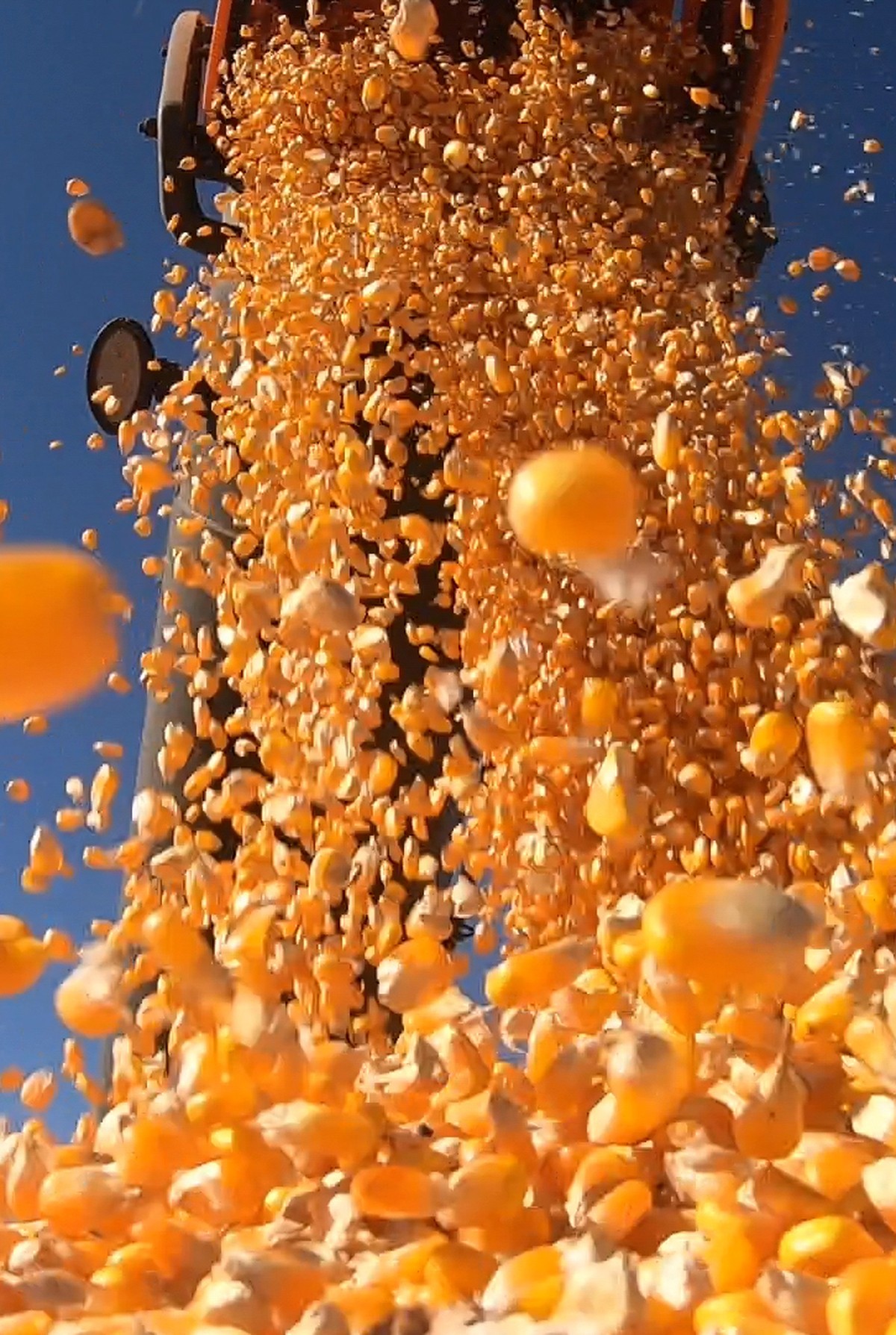 General Mills vai fechar fábrica da Yoki em Cambará (PR) | Agronegócios ...