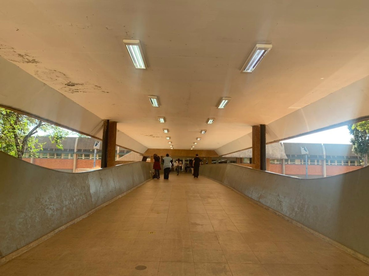 SP define Unicamp e Hospital de Sumaré como referência para varíola dos ...