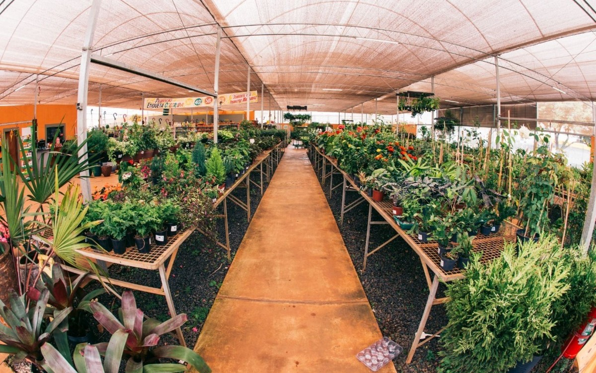 Franca, SP, sedia feira gratuita de paisagismo e jardinagem; veja como ...