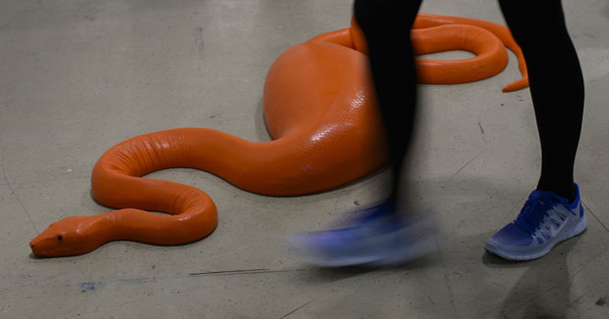 G1 - 'Cobra laranja' é atração de feira de arte na Suíça - notícias em ...
