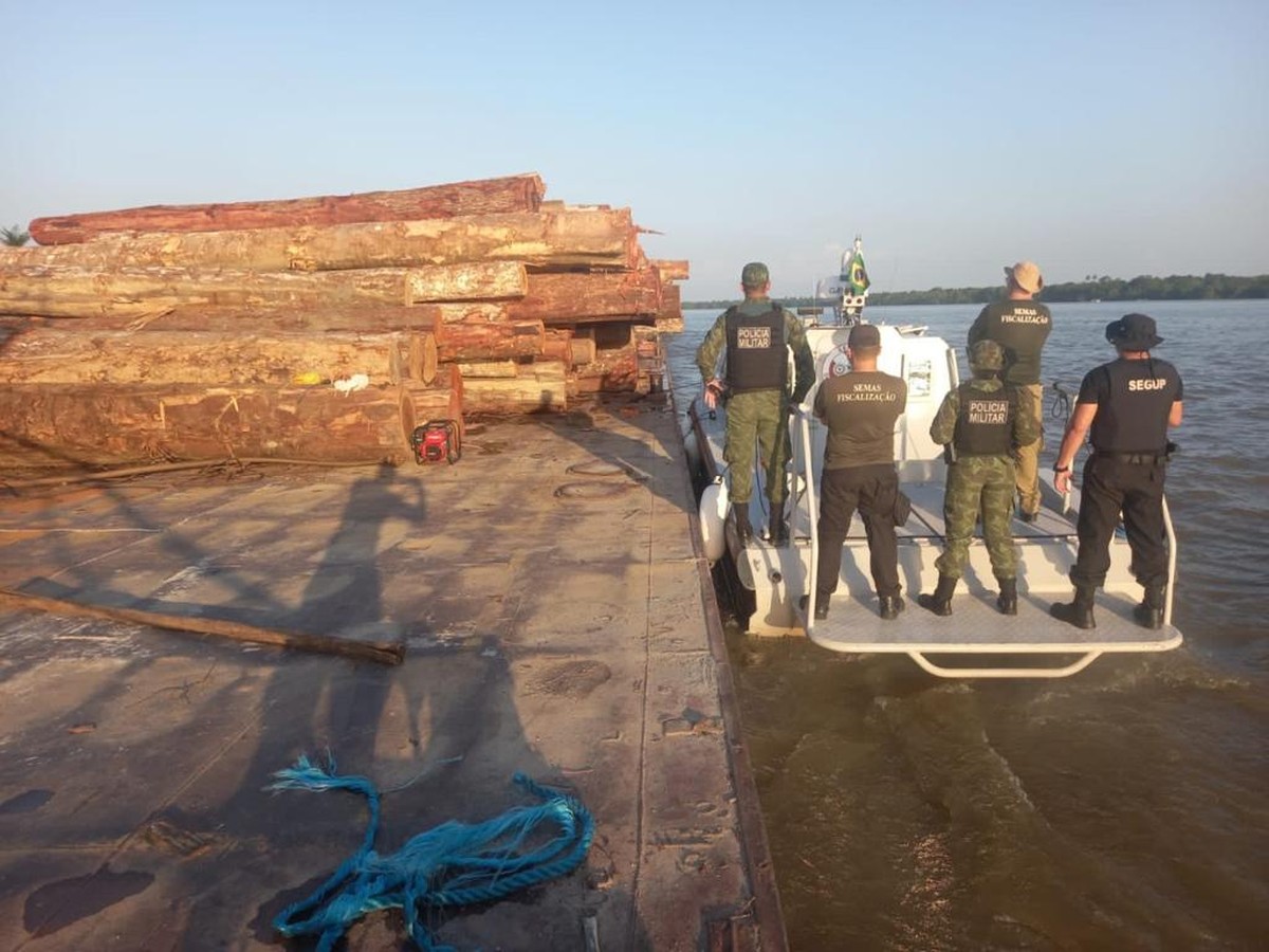 Operação apreende motos, armas e embarcações carregadas de toras de ...