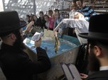 Judeus celebram ritual ao redor de piscina com peixes - fotos em Mundo - g1
