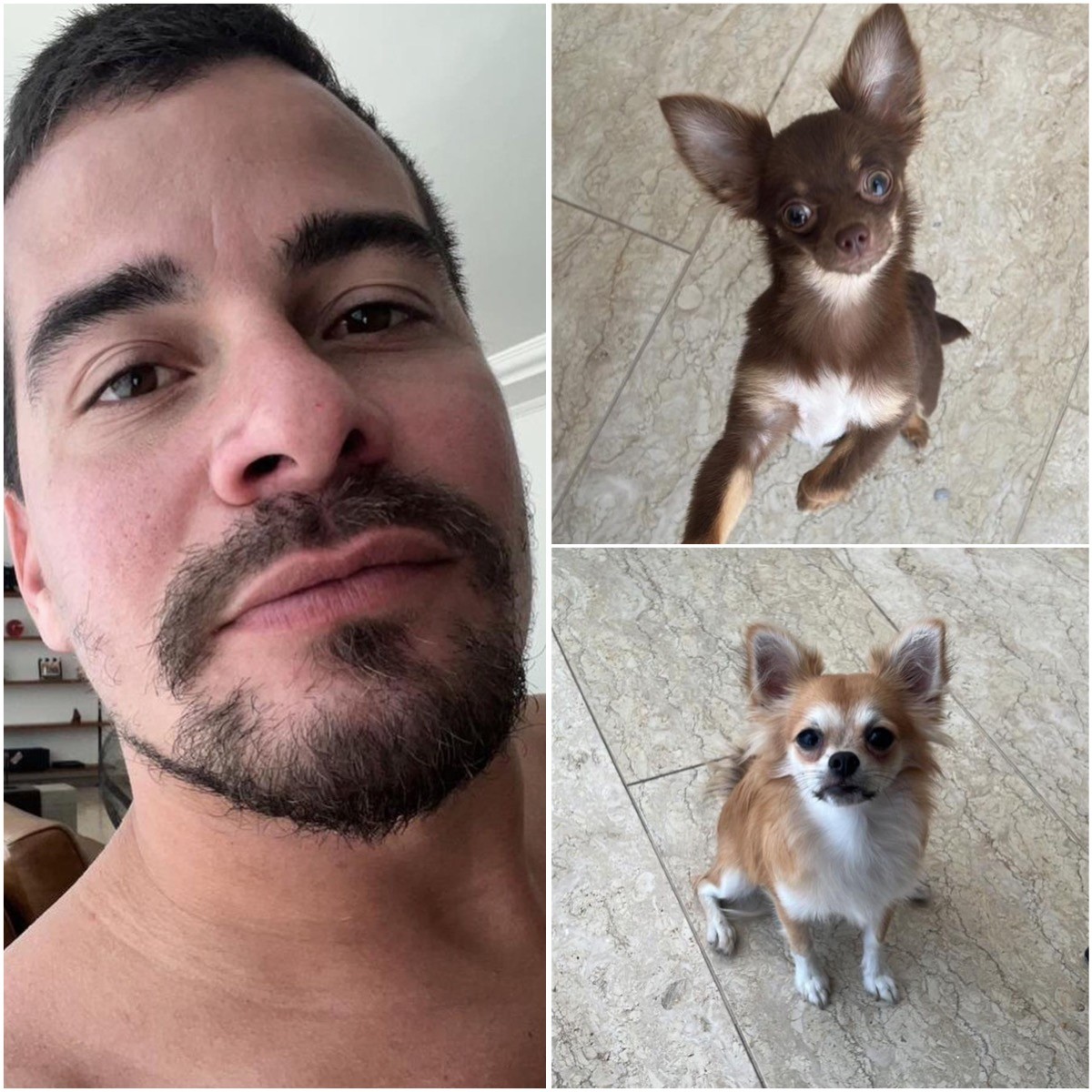 Thiago Martins brinca que é parecido com dois dos seus cachorrou | Vida ...