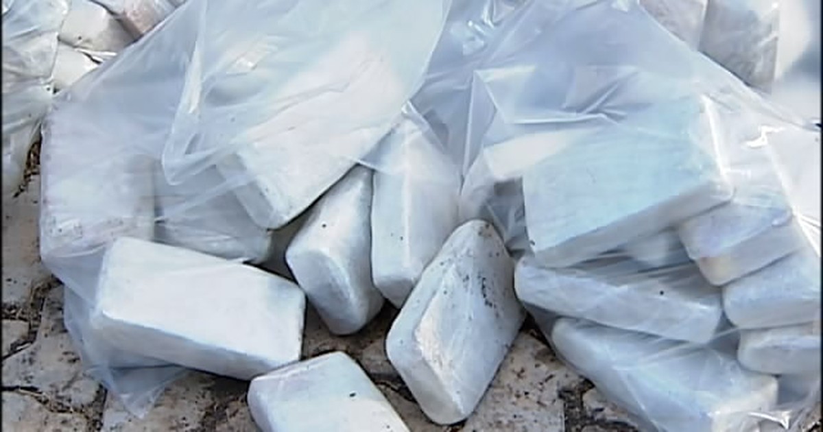 G1 - Polícia Federal apreende 100 Kg de pasta base de cocaína em ...