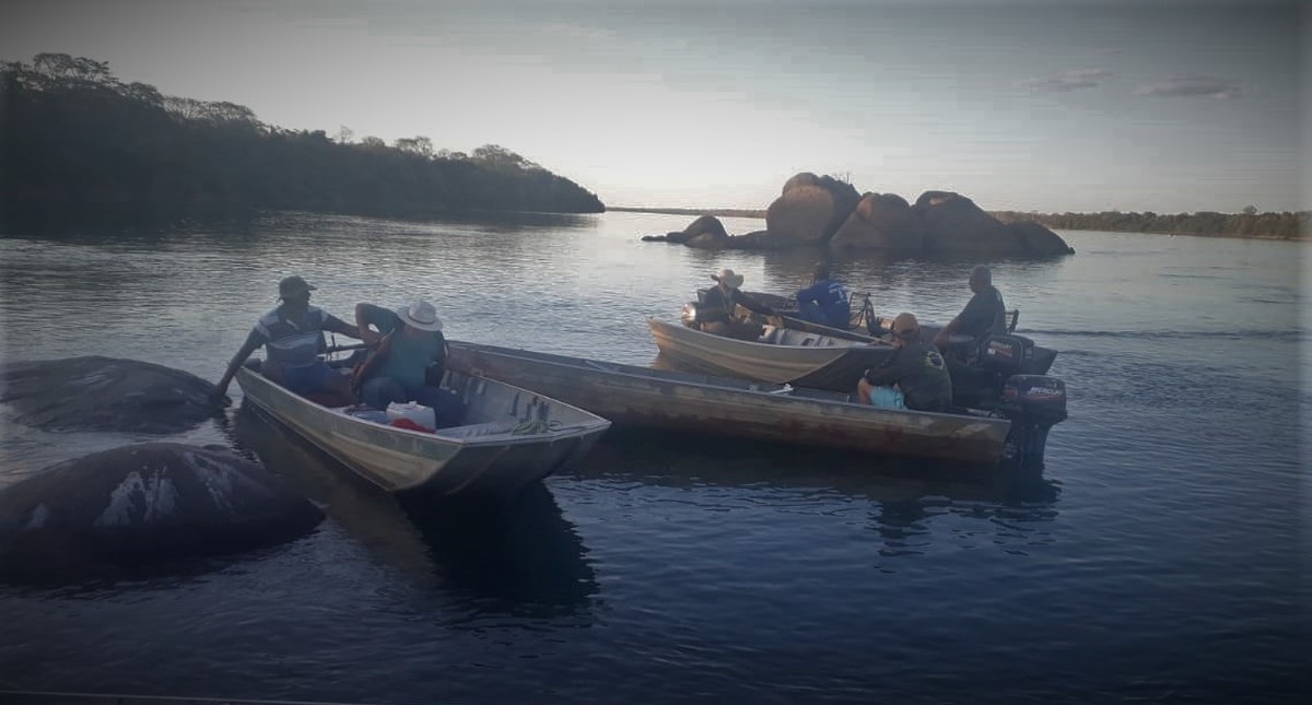 Homem morre afogado após perder controle de barco e cair no rio ...
