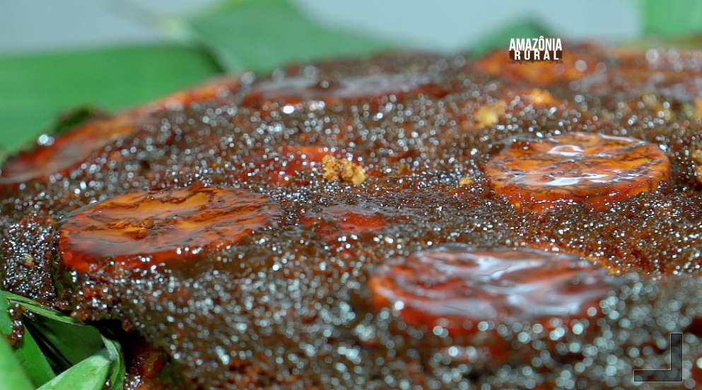 Rede Globo > amazonas - Vacas que são 'barriga de aluguel' é um dos ...