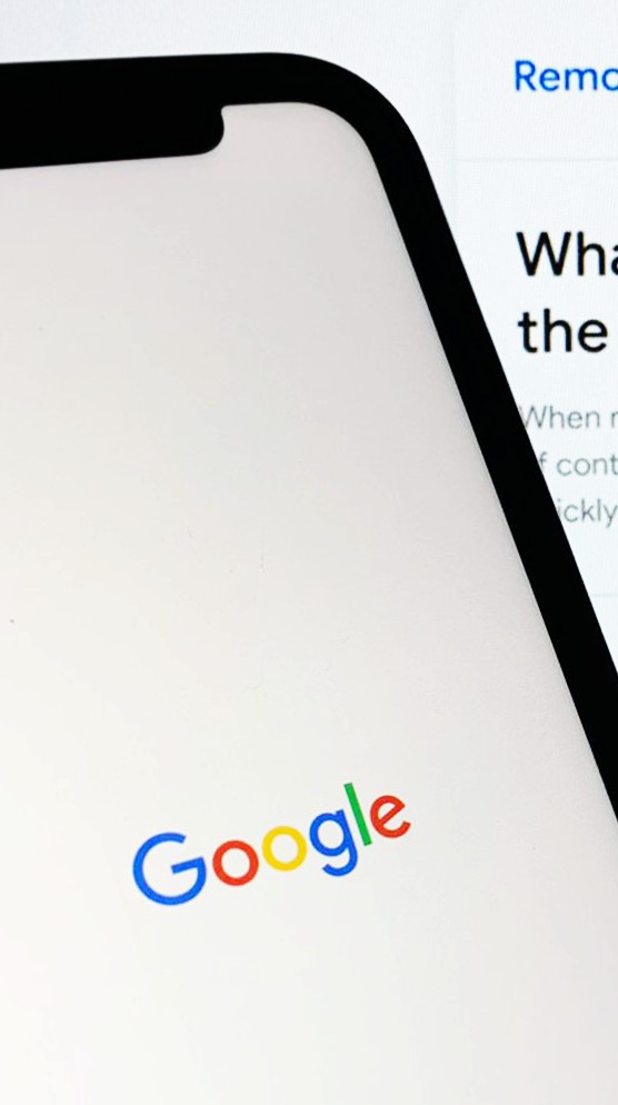 Conheça os memes mais pesquisados do ano, segundo o Google | Downloads ...