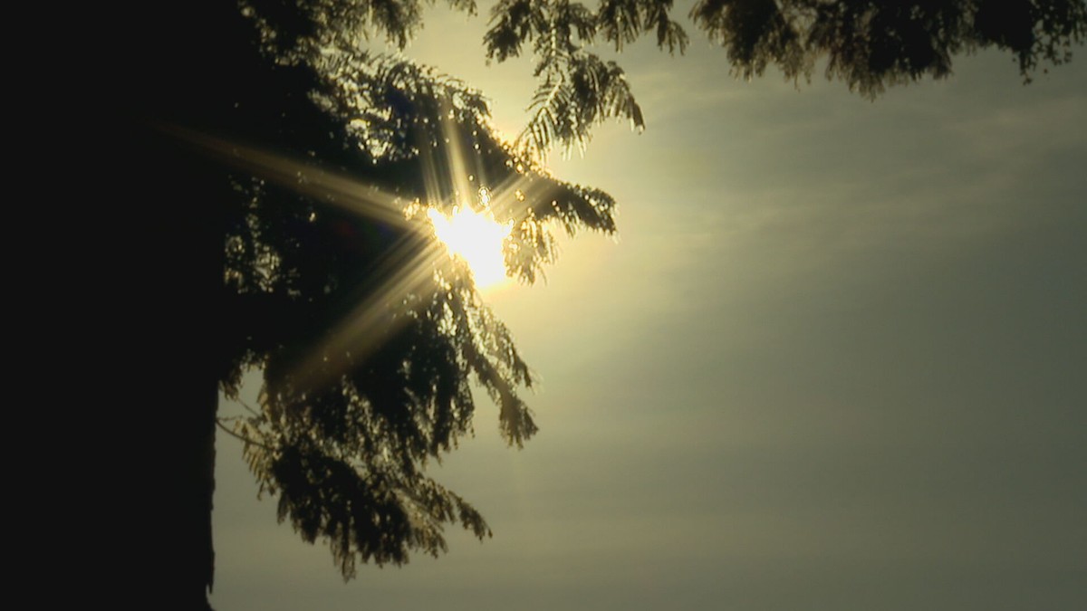 Inverno começa nesta segunda-feira com tempo seco e frio no DF ...