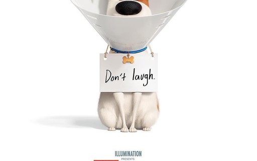 Saiu o trailer de 'Pets 2 - A Vida Secreta dos Bichos' - Revista ...