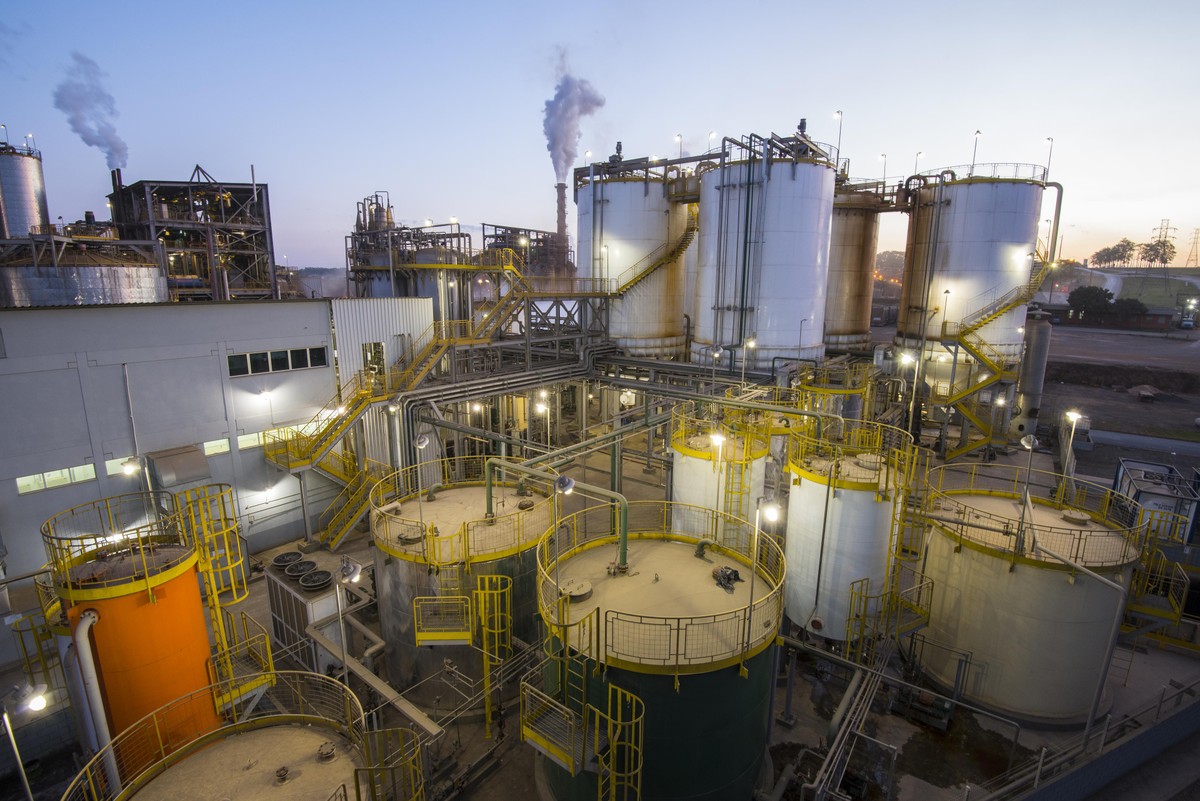 Raízen deve ter 3º tri sustentado por preços robustos do açúcar e ...