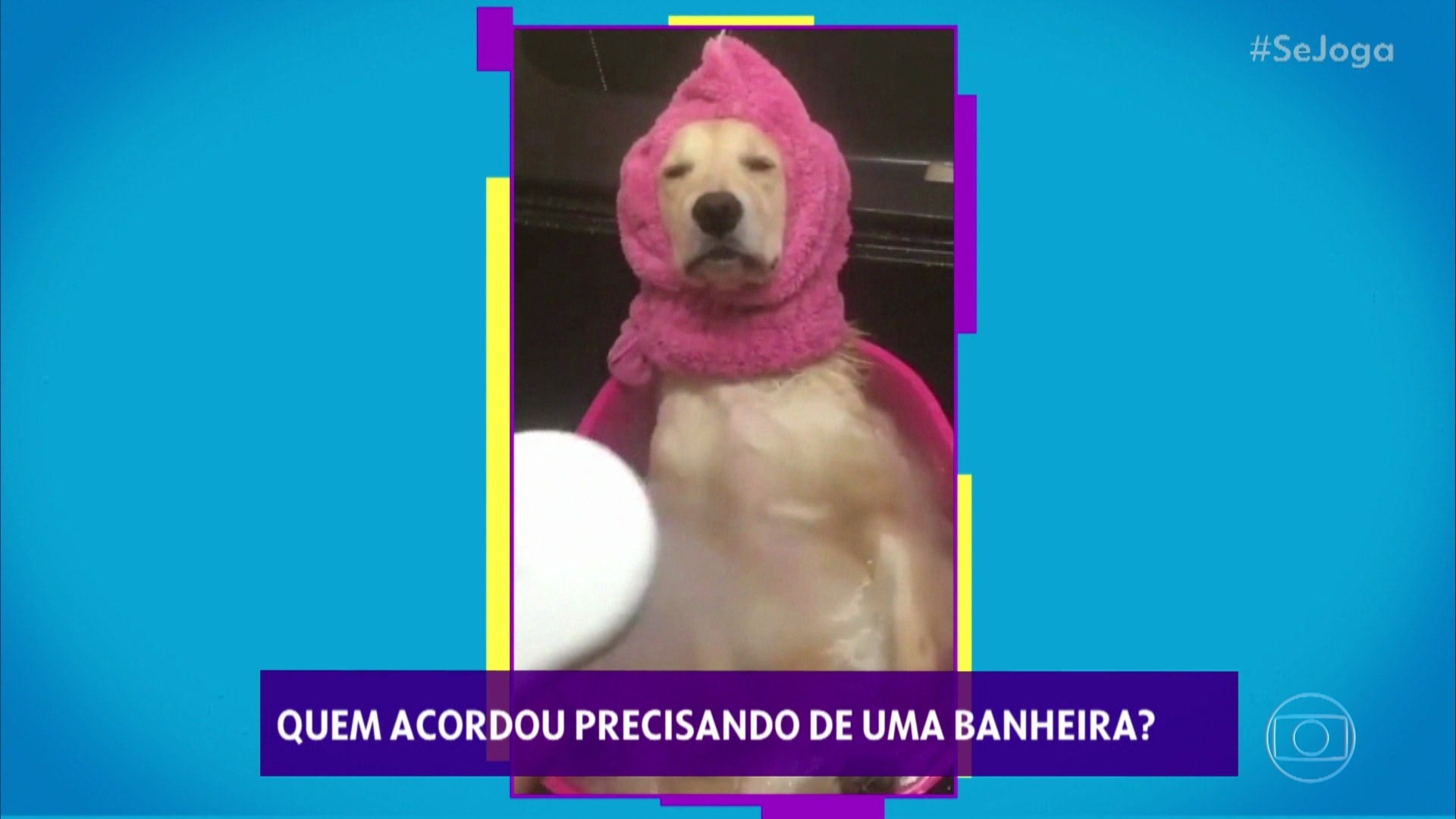 Vídeos do episódio de 'Se Joga' de quarta-feira, 01 de janeiro | TV | gshow