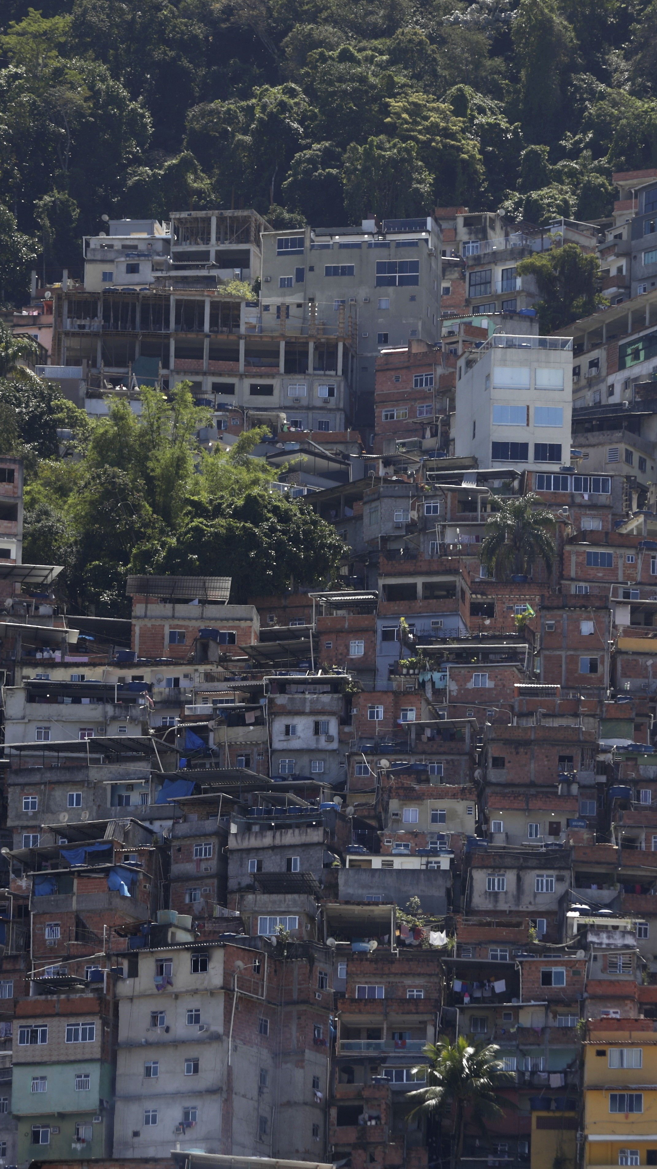 Entenda o que é e como funciona o Plano Diretor da Rocinha