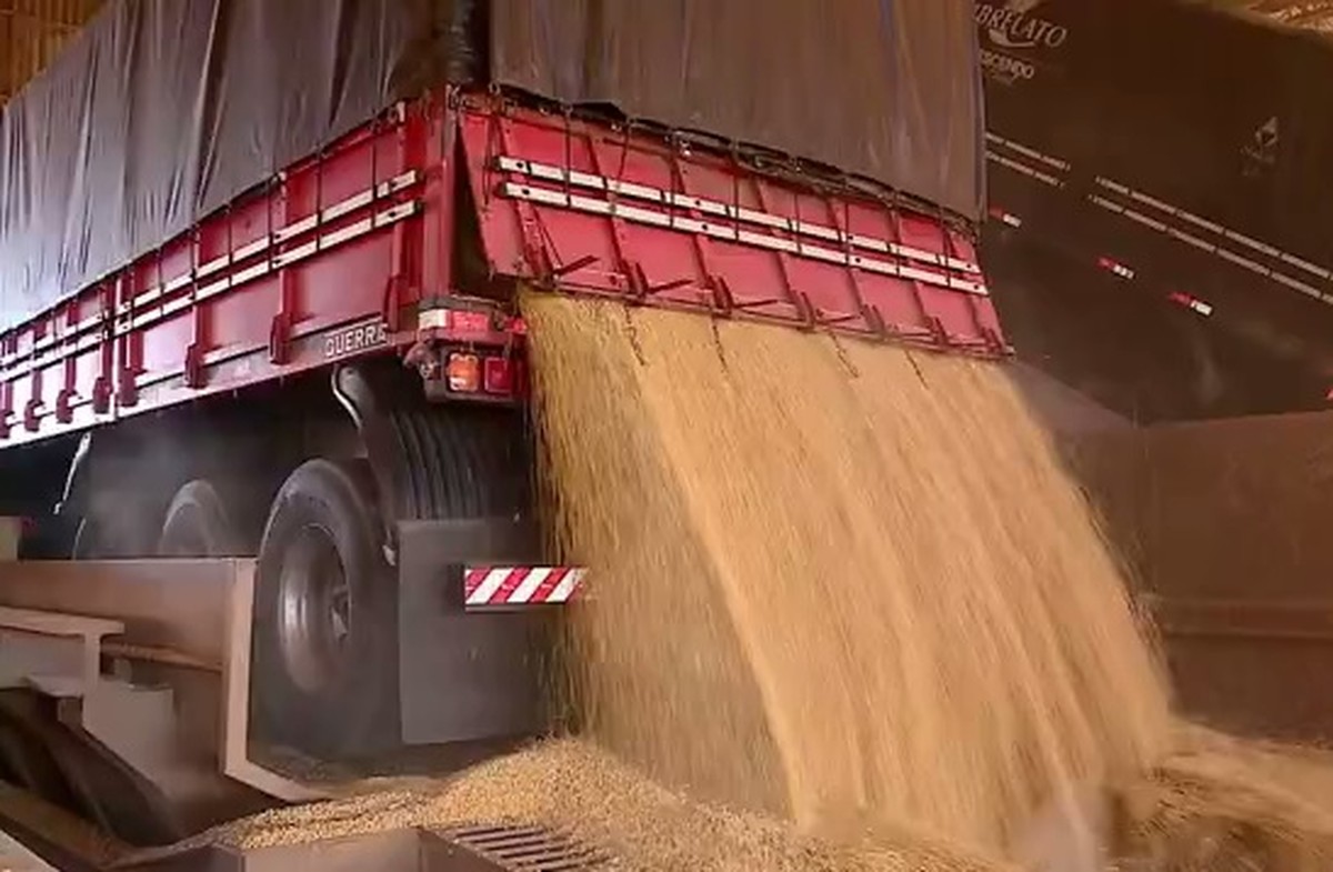 Elevação das exportações de soja depende de expansão logística e de ...