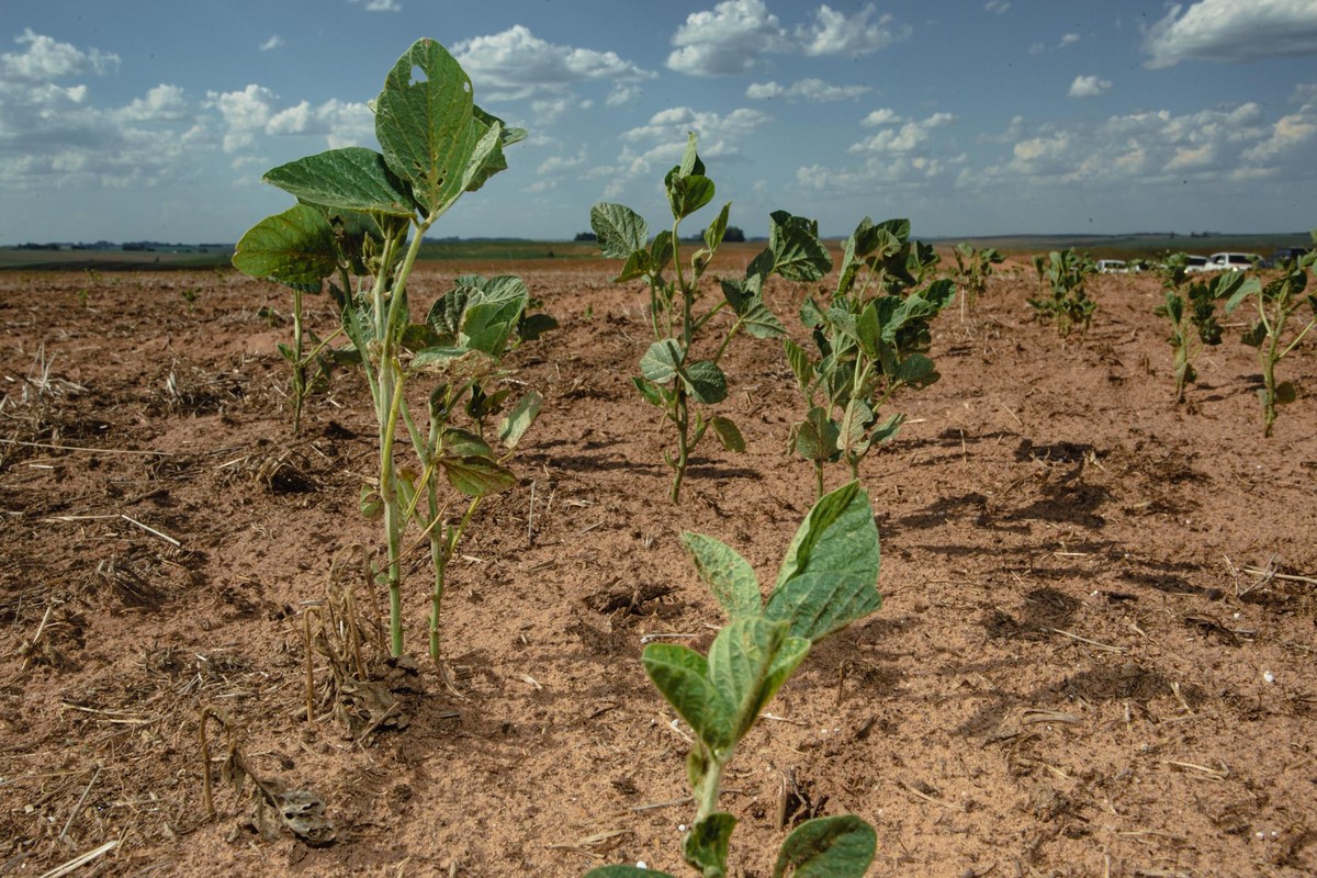 Extreme weather events cause multibillion losses in agriculture ...