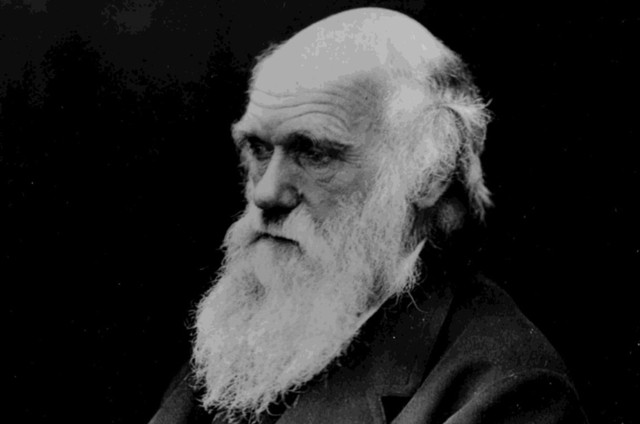 Biografia de Darwin revela suas impressões ao pisar em floresta ...