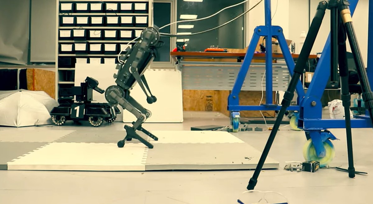 Cão-robô modificado aprende a andar só com as pernas traseiras; assista ...