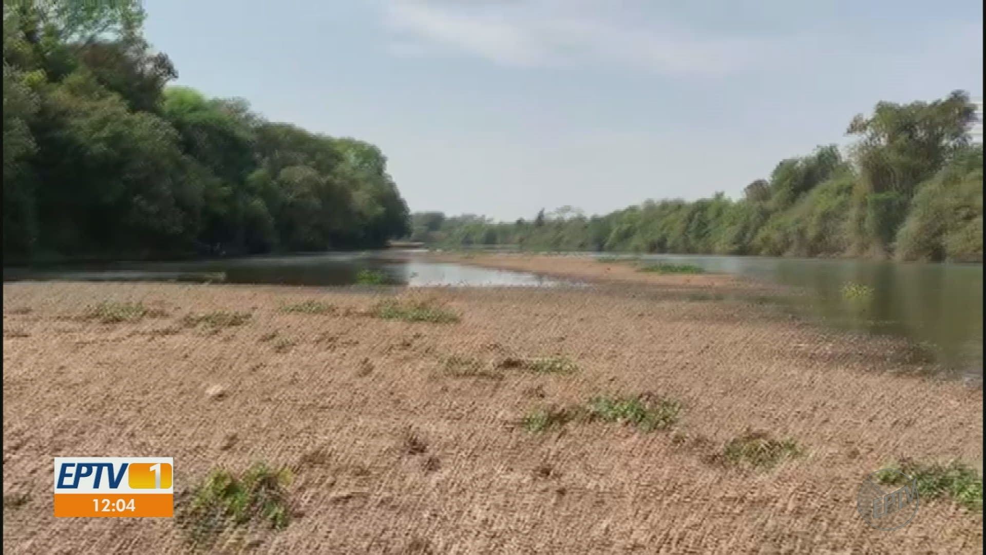 VÍDEOS: EPTV 1 Ribeirão Preto de sexta-feira, 18 de setembro de 2020 ...