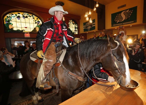 G1 - Cavalo toma cerveja em bar no Canadá - notícias em Planeta Bizarro