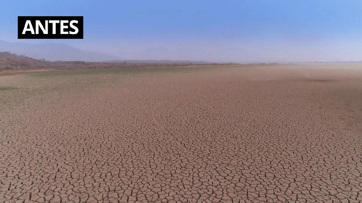 Veja O Antes E Depois De Paisagens Atingidas Pelo Fogo No Pantanal