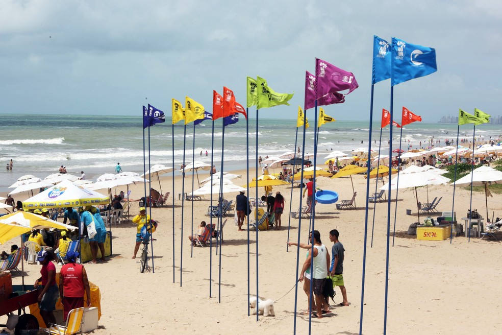 'Praia Limpa' vai distribuir mais de 800 mil saquinhos ...