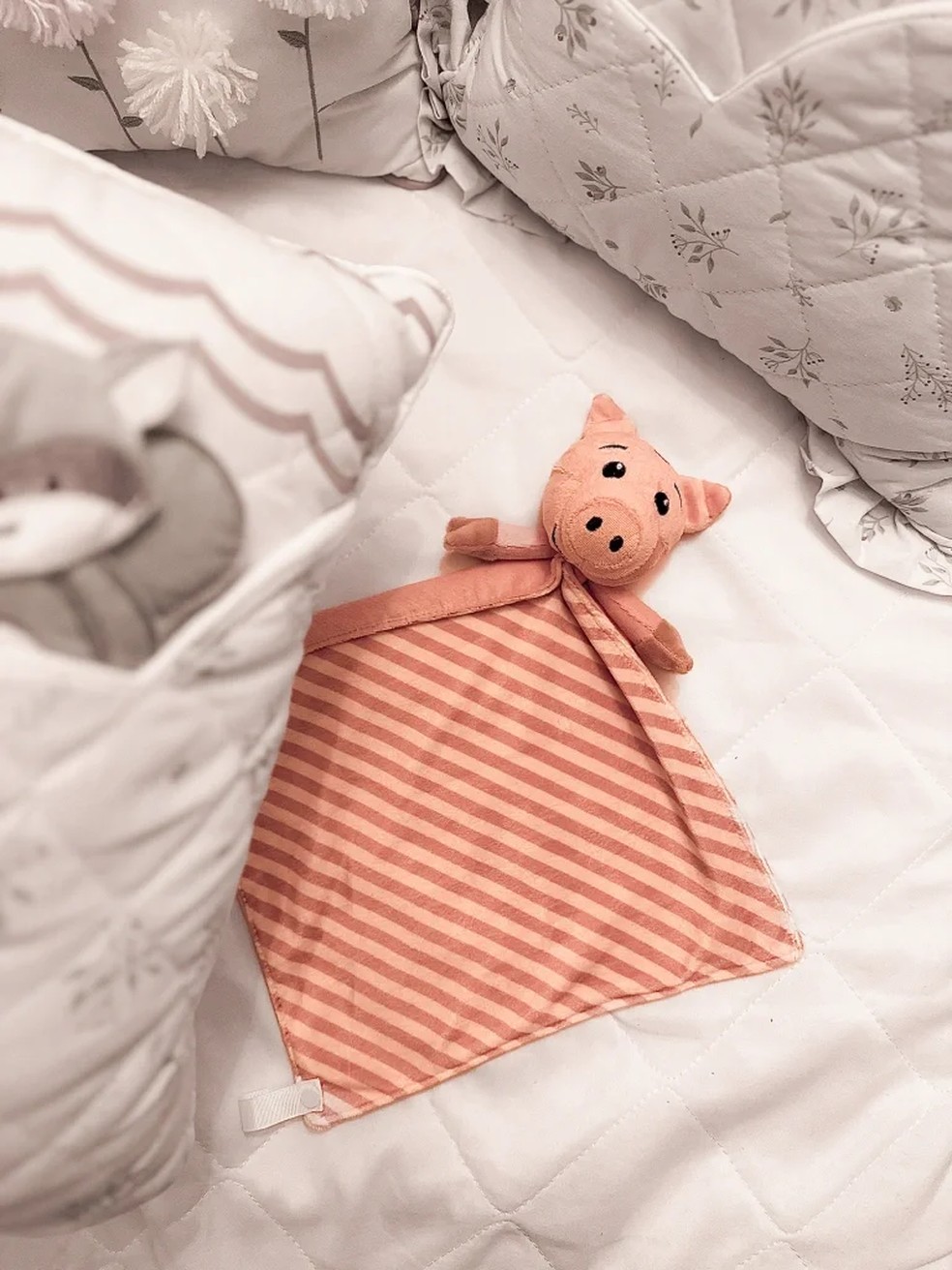 Viih Tube ganhou pelo menos R$ 2 milhões em 24 horas com marca de ...