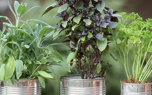 Horta em casa: como cultivar alimentos orgânicos - Casa Vogue | Paisagismo
