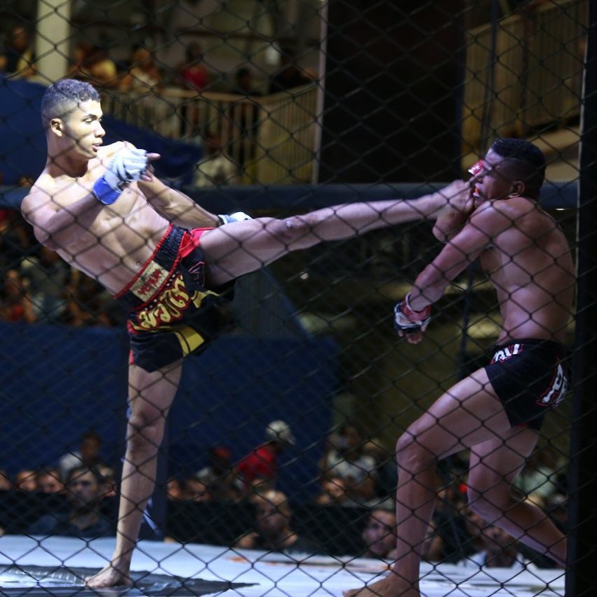 Tocantinense encara o Federal Fight na disputa pelo cinturão em janeiro ...