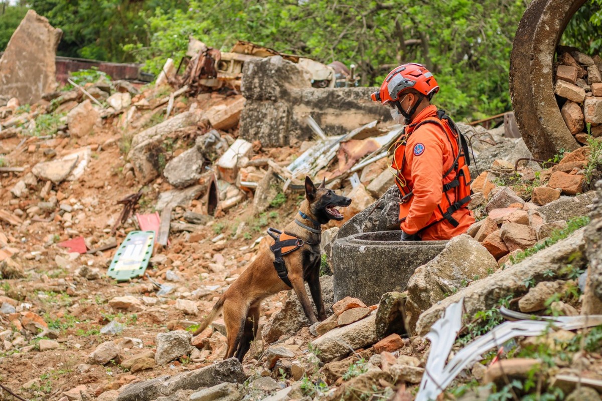 Treinamentos de busca e resgate de vítimas com cães são realizados em ...