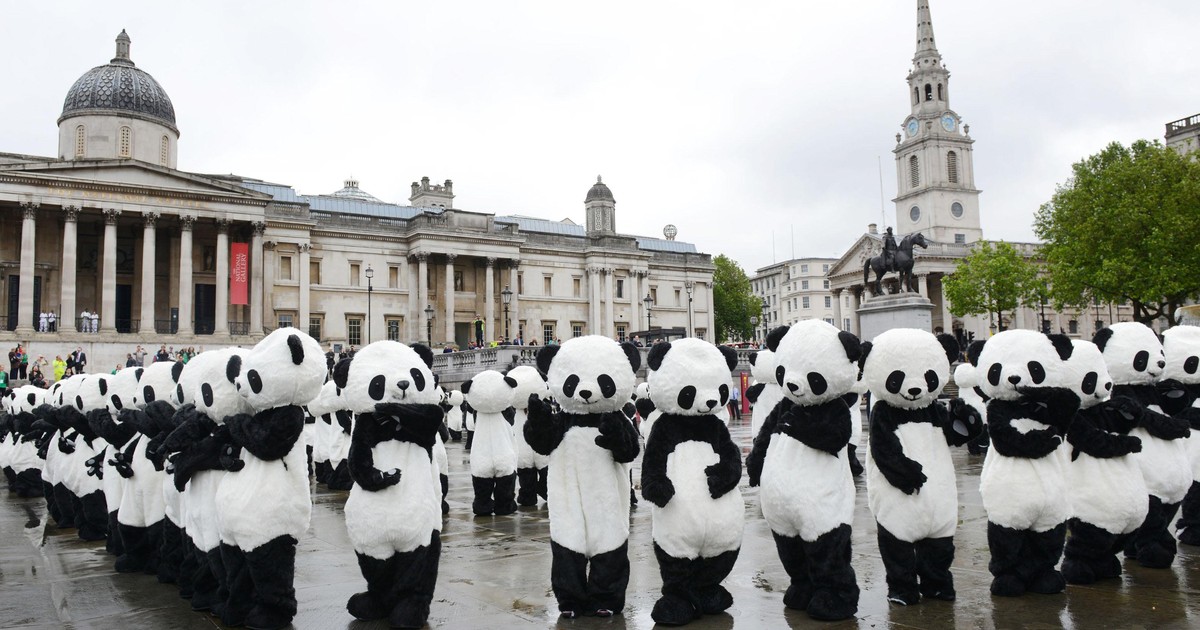 Natureza - Manifestantes vestidos de panda dançam por preservação em ...