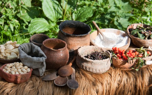 4 descobertas científicas sobre a verdadeira dieta paleolítica ...