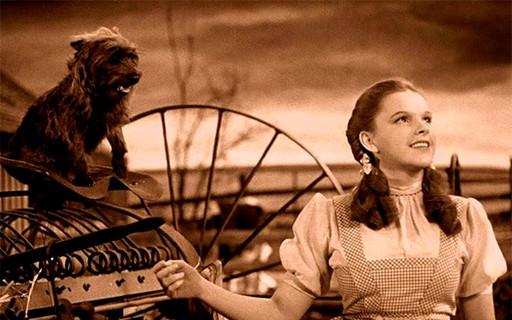 "Over The Rainbow" completa 80 anos com um Oscar e regravações icônicas ...