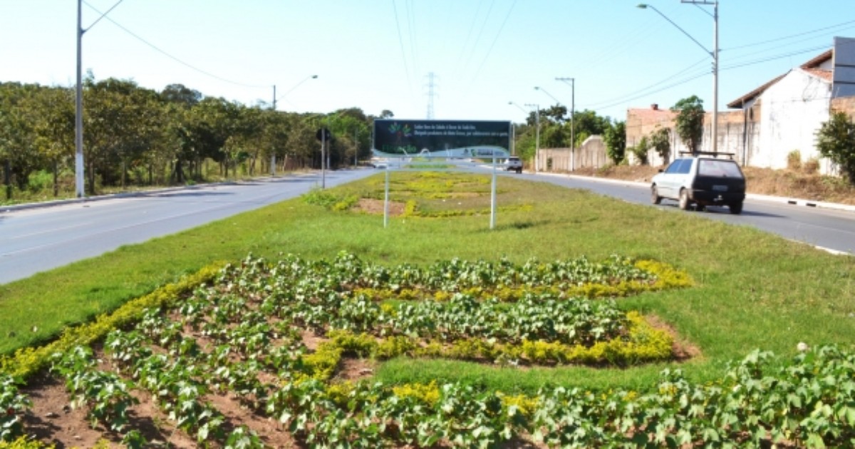G1 - Mais de 50 mil árvores devem ser plantadas em Cuiabá até o final ...