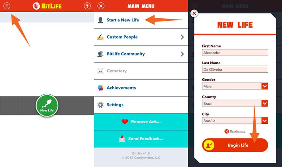 Como usar o BitLife, app que 'simula' a vida real e é febre nos EUA ...